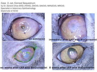 Xenosurgical Successful Cases | PPT