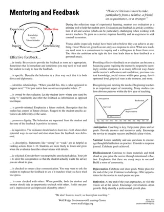 The Mentoring Life Cycle - Handout | PDF