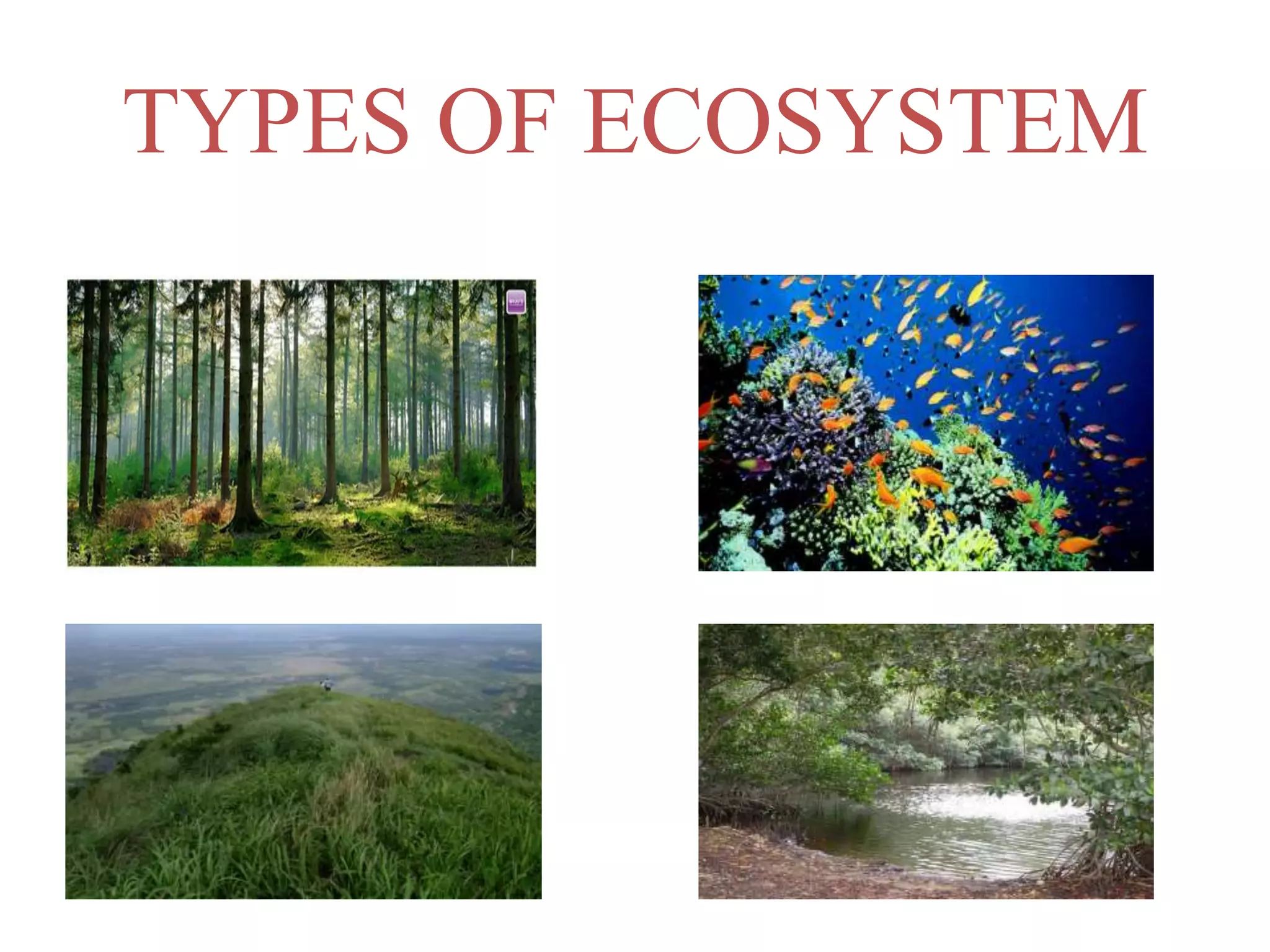 TYPES OF ECOSYSTEM | PPTX