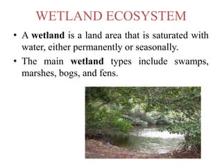 TYPES OF ECOSYSTEM | PPTX