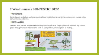 Agriculture microbiology and micro pests | PPTX