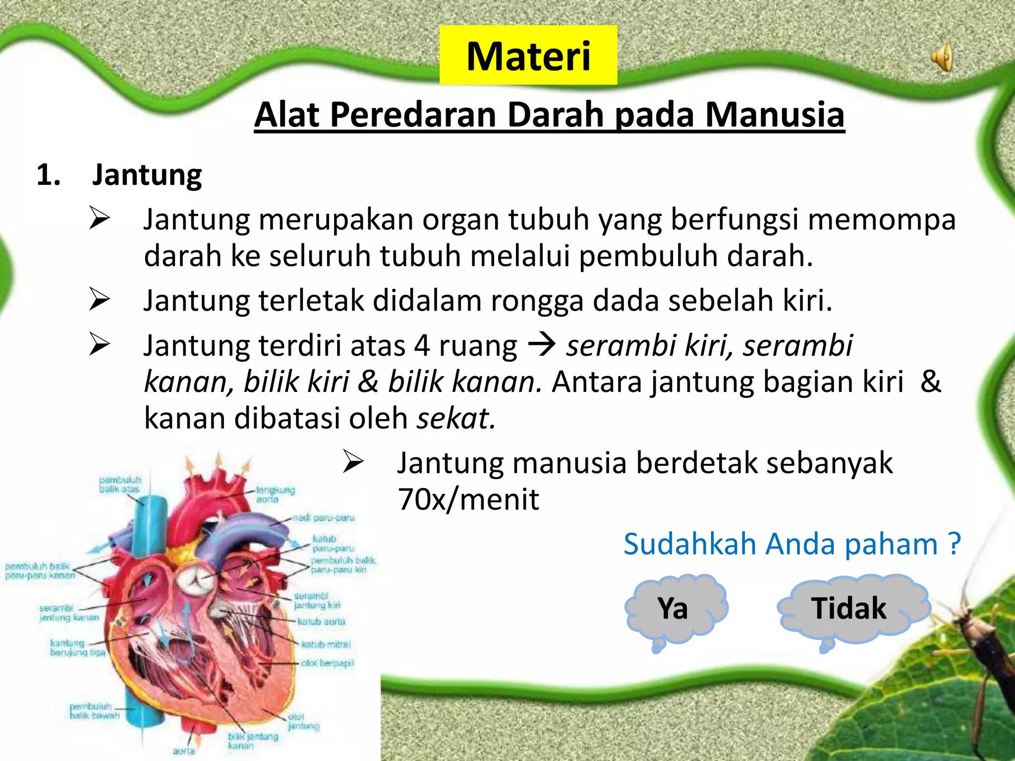 Media Pembelajaran IPA SD Kelas V Materi Organ Tubuh Manusia | PPTX