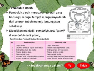 Media Pembelajaran IPA SD Kelas V Materi Organ Tubuh Manusia | PPTX
