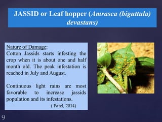Insect pests of cotton Gossypium hirsutum | PPT