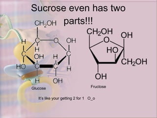 Sucrose | PPT