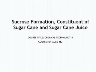 Photosynthesis process, Sucrose formation | PPTX | Chemistry | Science