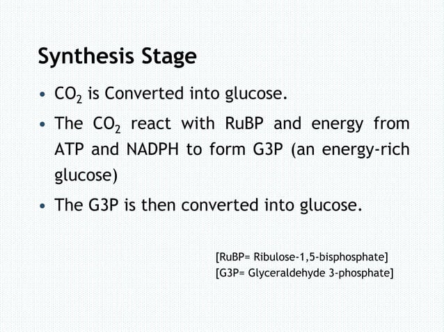 Photosynthesis process, Sucrose formation | PPTX | Chemistry | Science