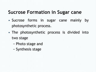 Sucrose Formation