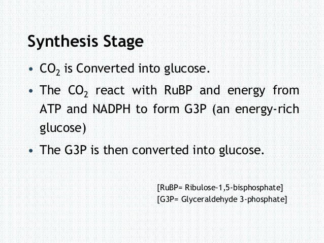 Photosynthesis process, Sucrose formation