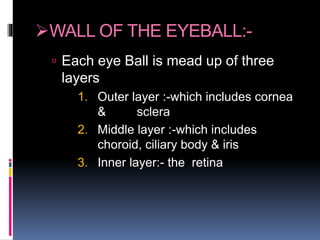 Sucturetr of eye | PPT