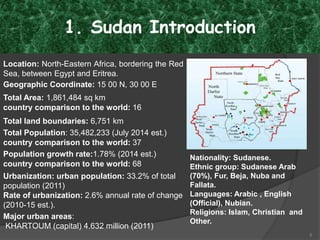 Sudan Report Presentation | PPTX