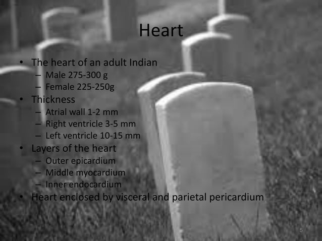 Sudden death | PDF | Heart and Cardiovascular Diseases | Diseases and ...