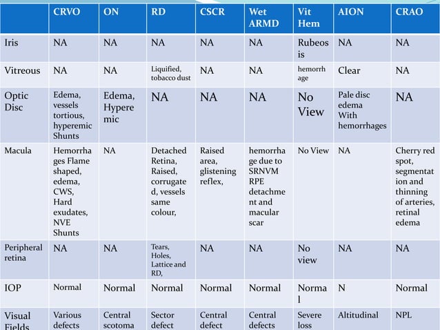Sudden Loss of Vision Differential Diagnosis | PPT