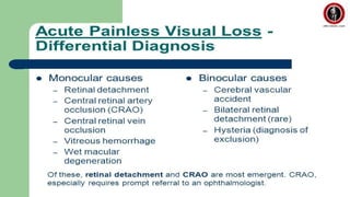 Sudden Visual Loss | PDF