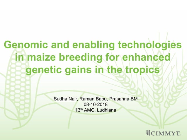 Genomic and enabling technologies in maize breeding for enhanced genetic gains in the tropics | PPT