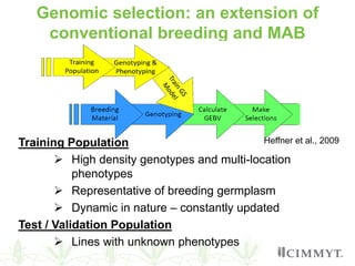 Genomic and enabling technologies in maize breeding for enhanced genetic gains in the tropics | PPT