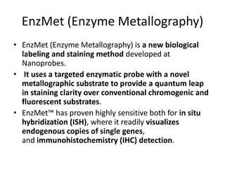 Sudha enzyme technology | PPTX