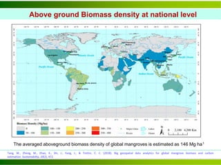 Geospatial technology for mangrove monitoring and decision support | PPT