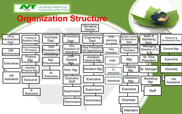 Sudheesh organiations study at avt natural products | PPTX