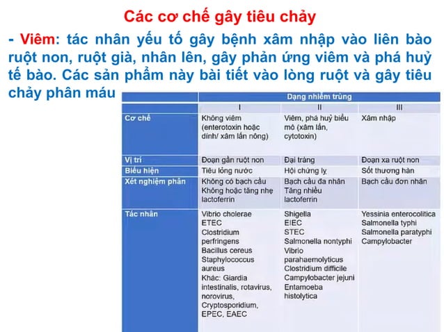 Su dung thuoc dieu tri tieu chay an toan hieu qua phan 1.pptx
