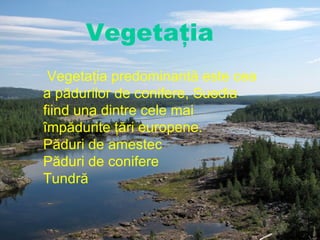 Suedia | PPT