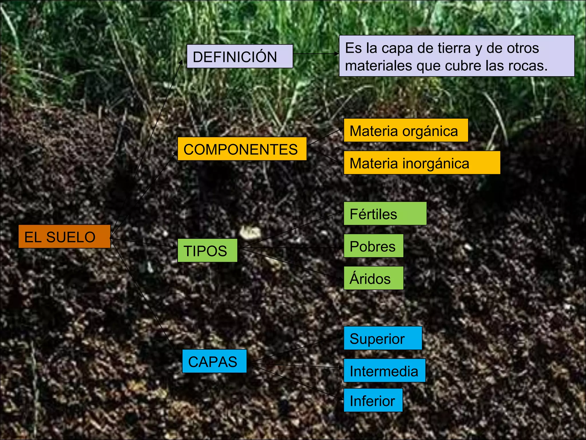 Suelo | PPT