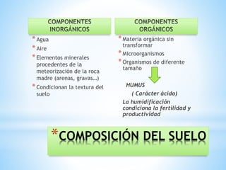Suelo | PPTX