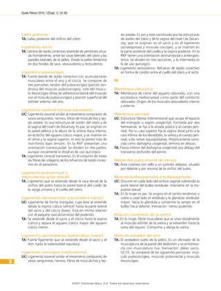Suelo-Pelvico-12Supl-1.pdf pélvico anatomía | PDF