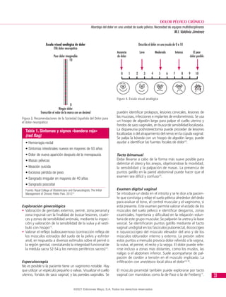 Suelo-Pelvico- Dolor pélvico Agudo y crónico | PDF