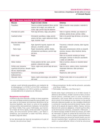 Suelo-Pelvico- Dolor pélvico Agudo y crónico | PDF