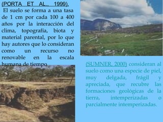 Qué es el SUELO ???? | PPT