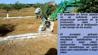 Suelo acido y su remediacion | PDF