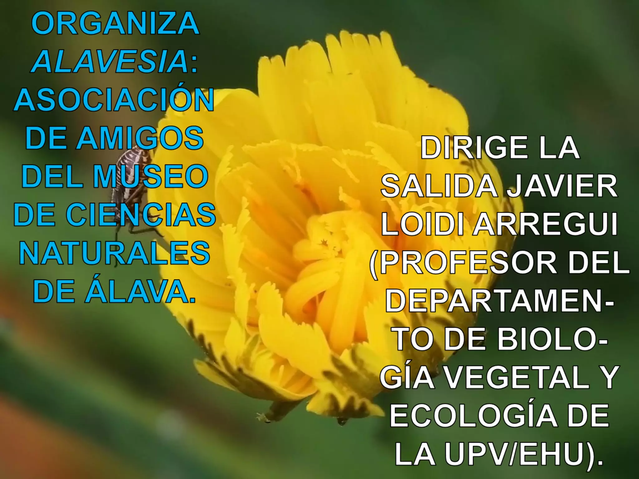 Suelo podsol. pastizales ala | PPT