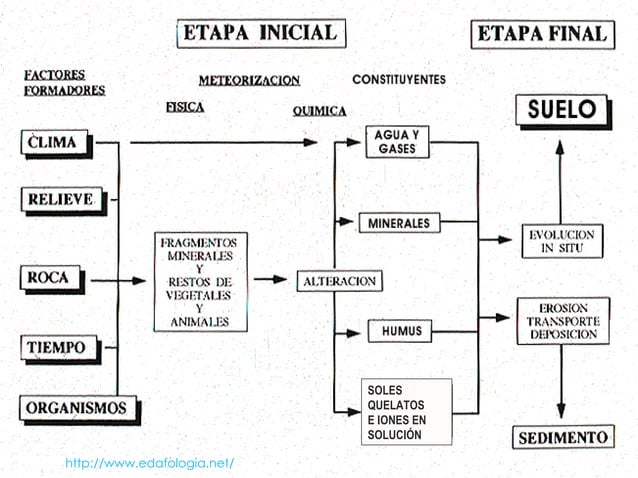 Suelo ppt | PPT