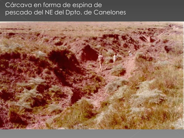 Suelo ppt | PPT