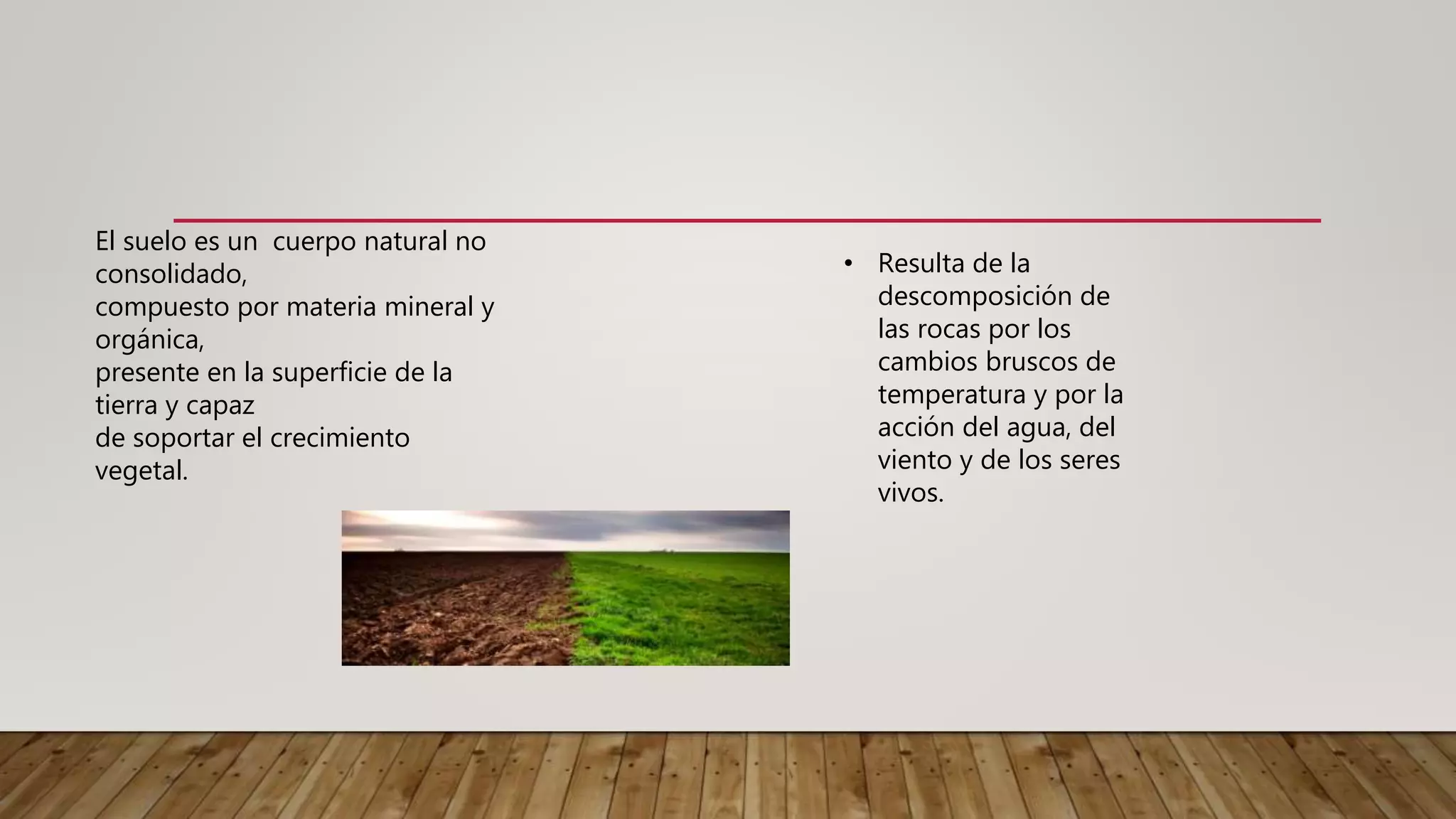 Suelos.presentacion personal. | PPTX