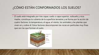 Suelos.presentacion personal. | PPTX