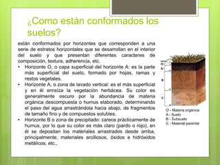 introduccion a los Suelos | PPTX
