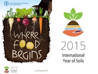 Types of soil and ideal conditions for growing coffee | PPTX