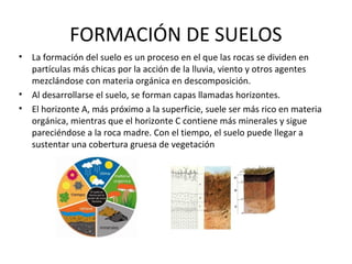 Suelos clase 2do | PPT