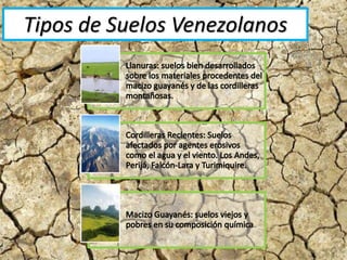 Suelos y sus Tipos | PPTX