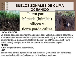 SUELOS DE ESPAÑA | PPT