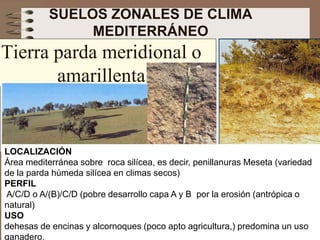 SUELOS DE ESPAÑA | PPT