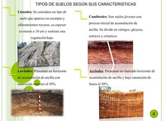 Suelos paisajismo | PPTX