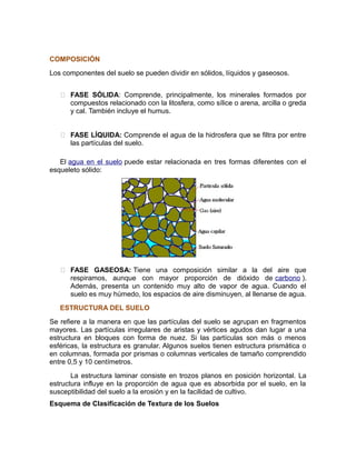 TIPOS DE SUELO | RTF