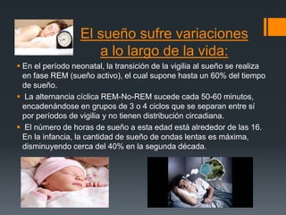 El sueño etapas caracteristicas y sueño Rem y No Rem | PPTX