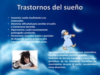 Sueño fisiología y conducta | PPTX