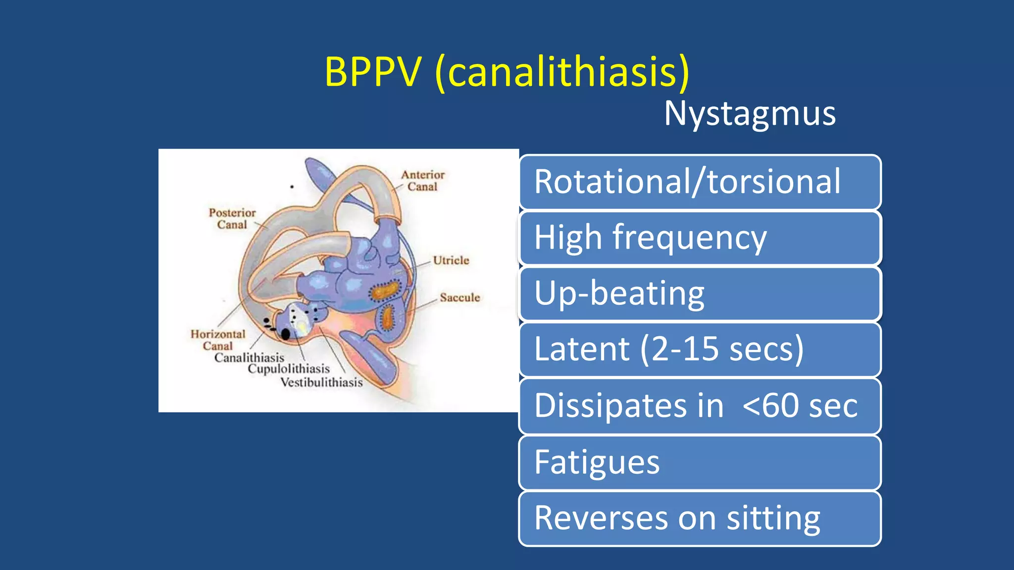 Cervicogenic Dizziness - identification and treatment | PPTX | Brain ...