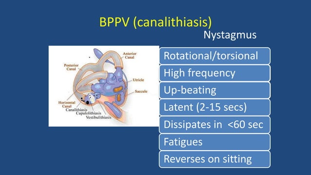 Cervicogenic Dizziness - identification and treatment | PPTX | Brain ...