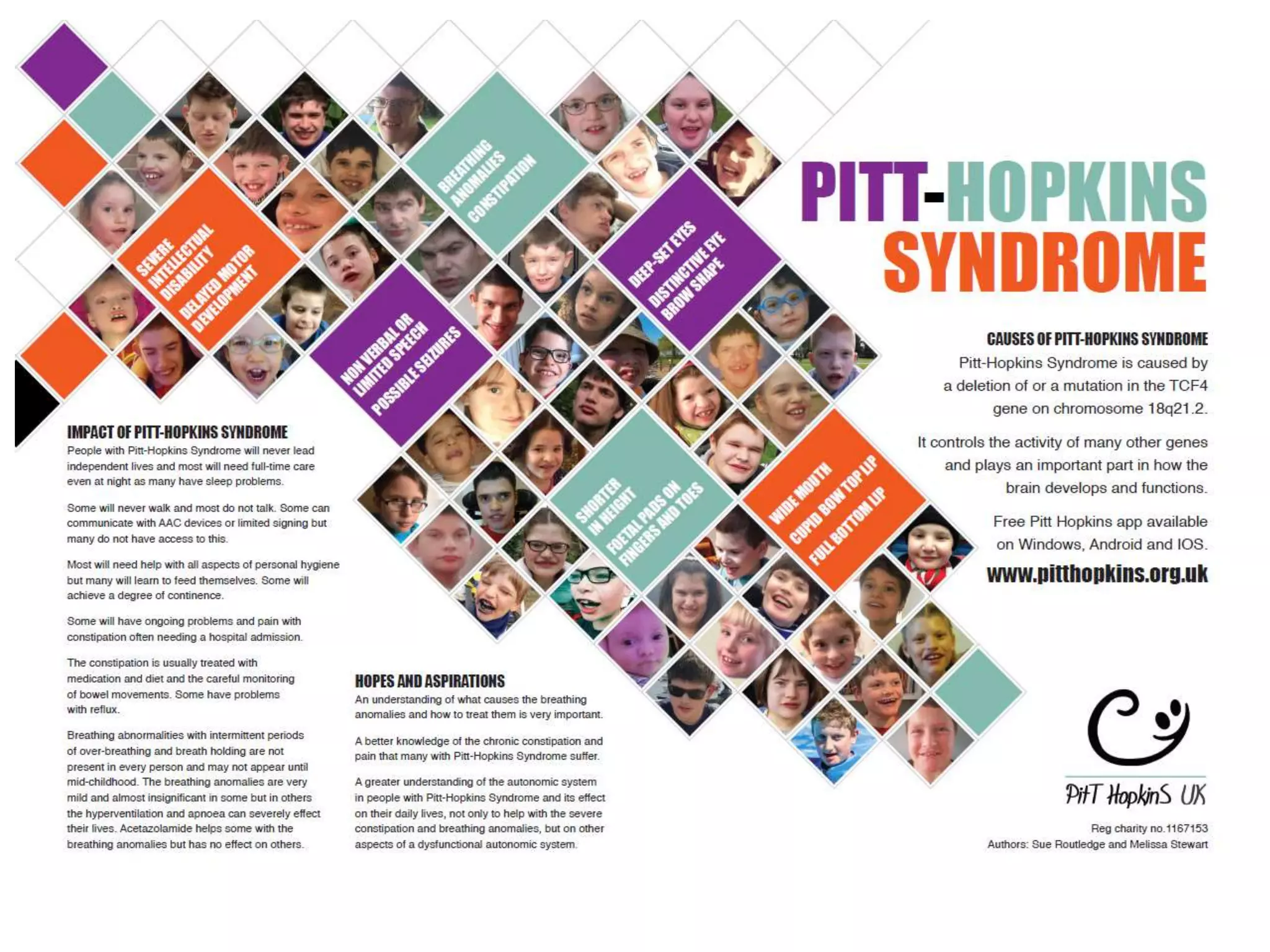 Sue Routledge pitt hopkins syndrome uk crdn summit 2017 | PPT